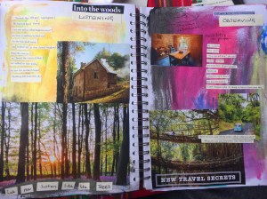 Visual Journalling – Living Wild Studios