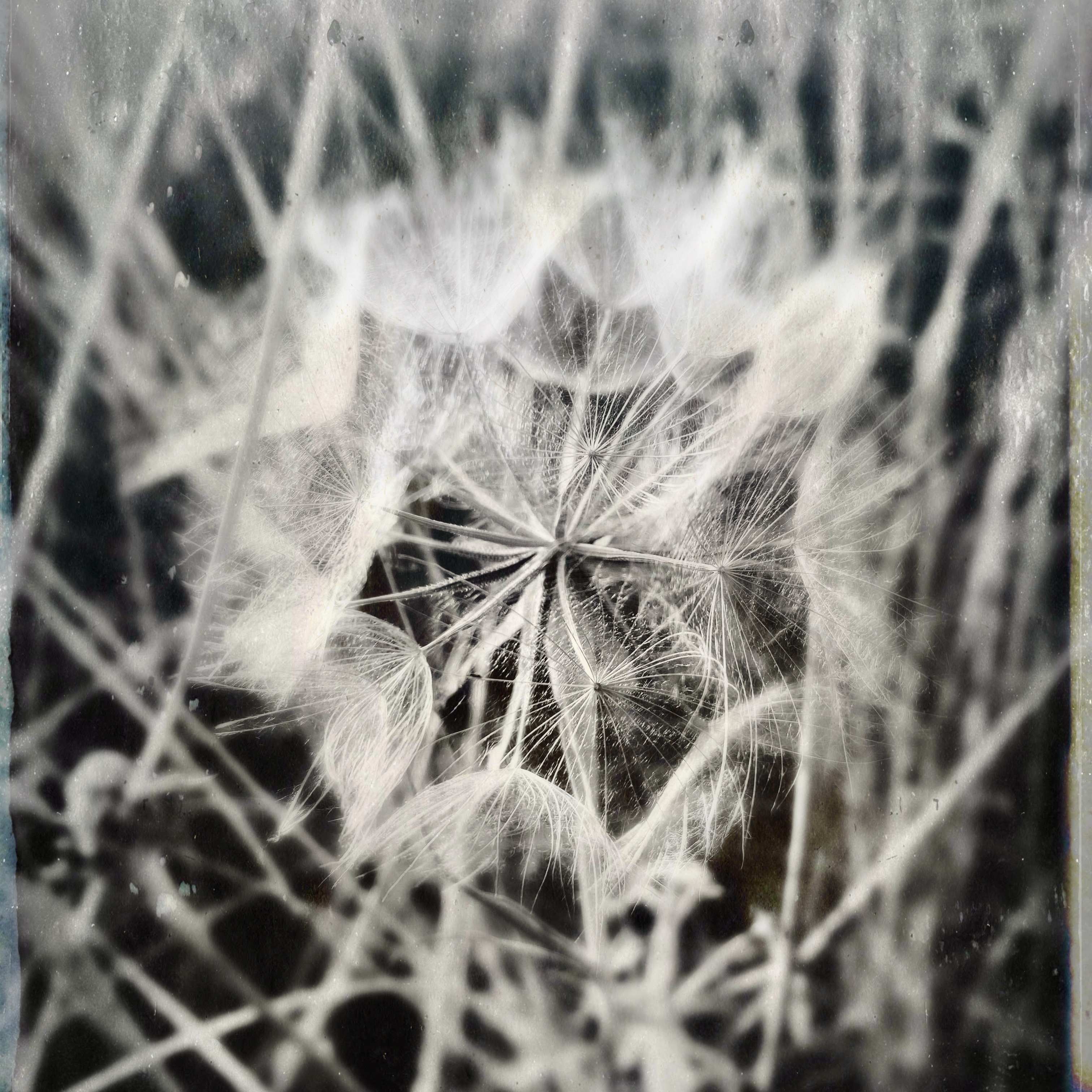 the fragility of feeling safe in any landscape – Living Wild Studios